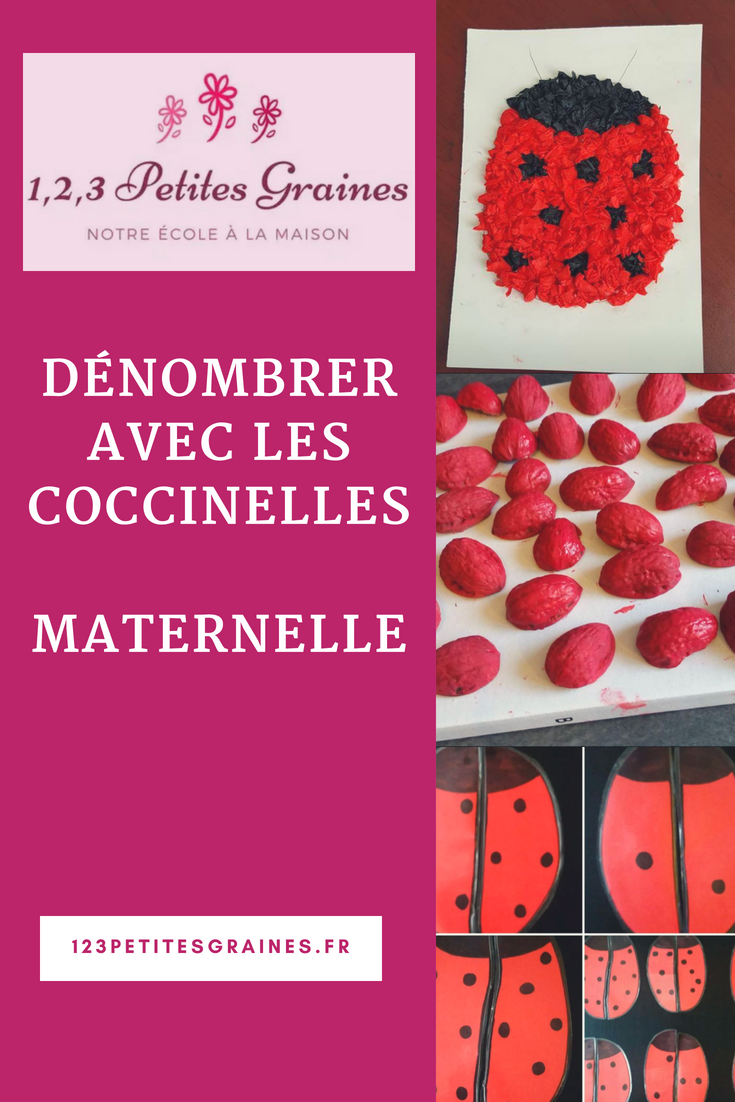 Dénombrer avec les coccinelles - 1,2,3 petites graines