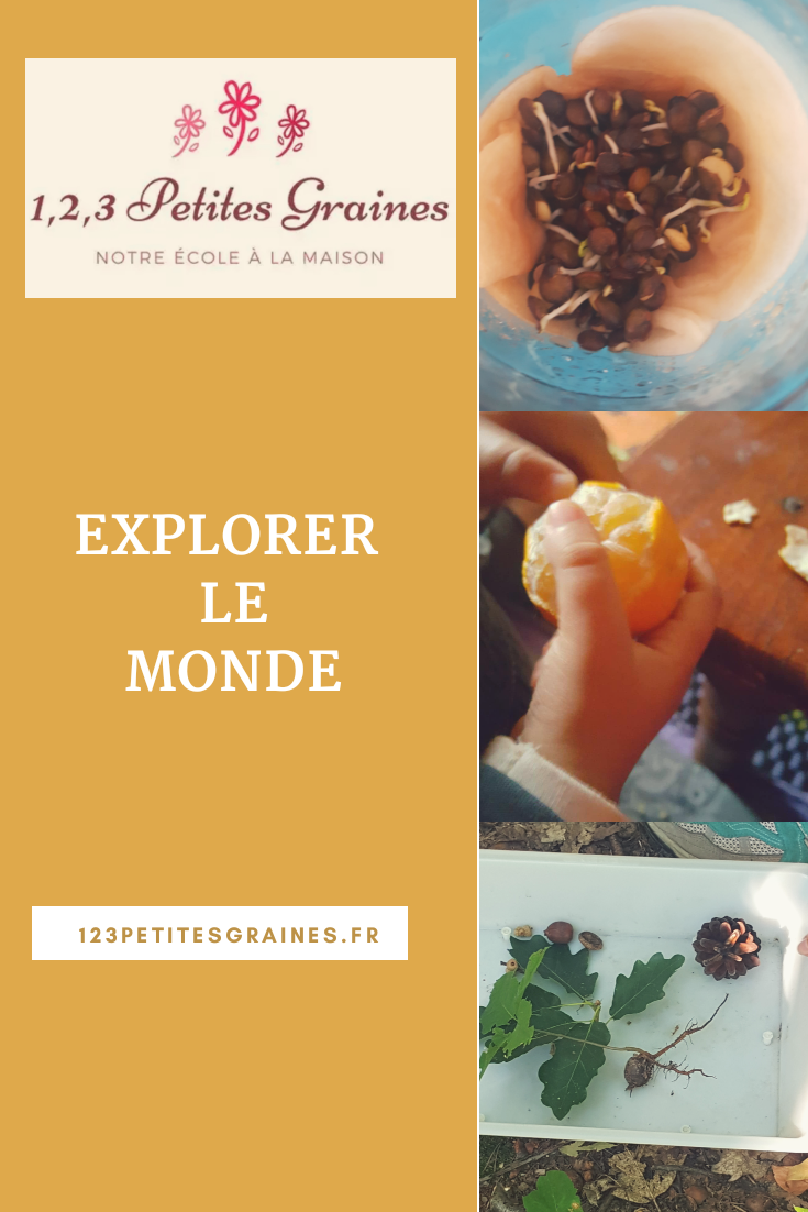 Explorer le monde - 1,2,3 petites graines