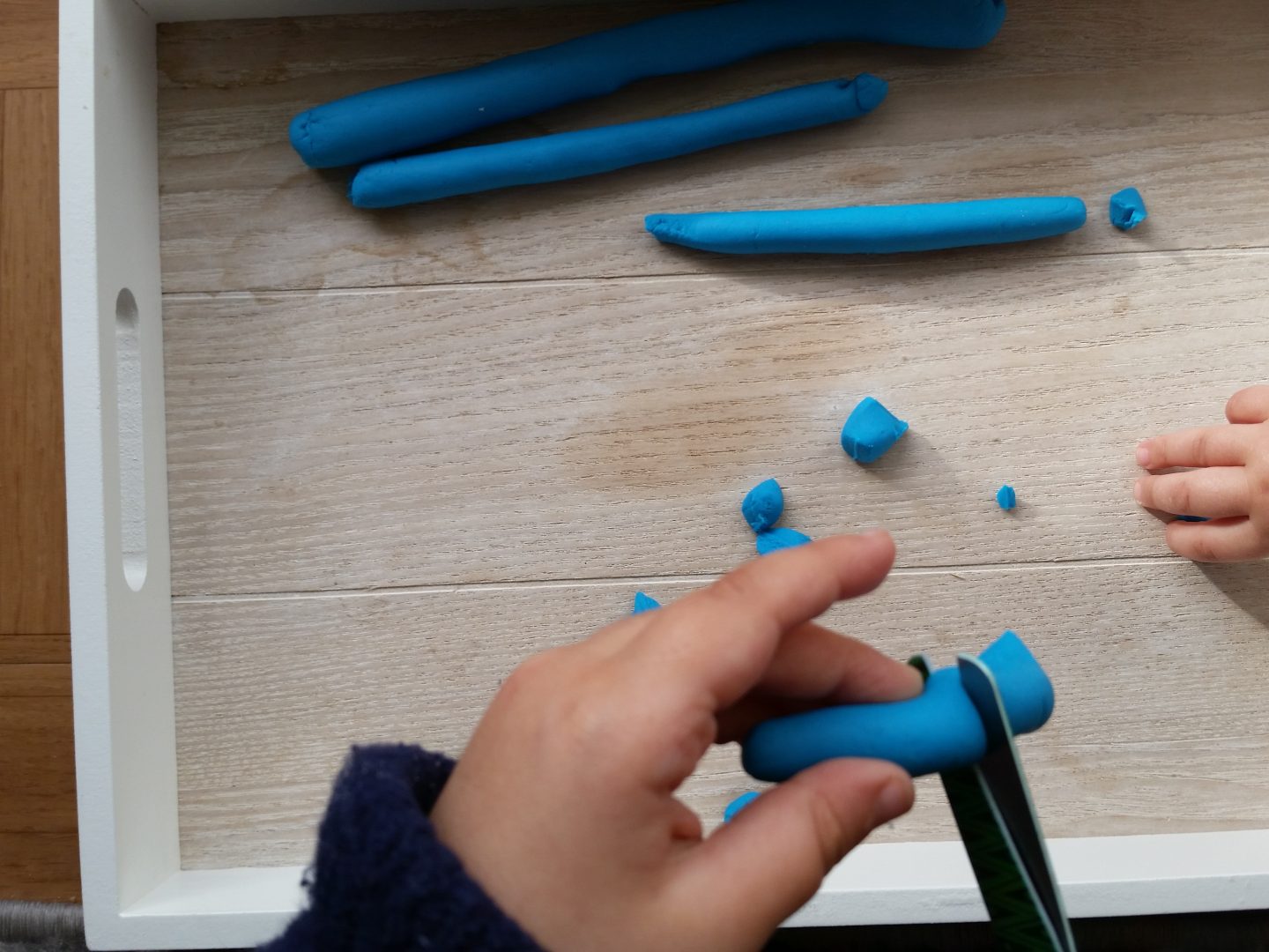 3 plateaux découpage pour maternelles - 1,2,3 petites graines